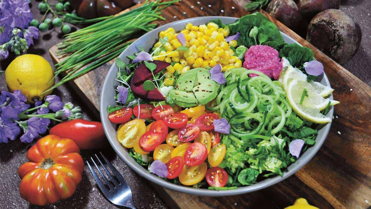Mindful Eating For Gastronomic Sustainability :The Ultimate Guide ...